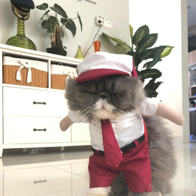 Jual Baju Hewan Kucing Anjing Kelinci Kostum Karakter Dilan Milea Mini ...