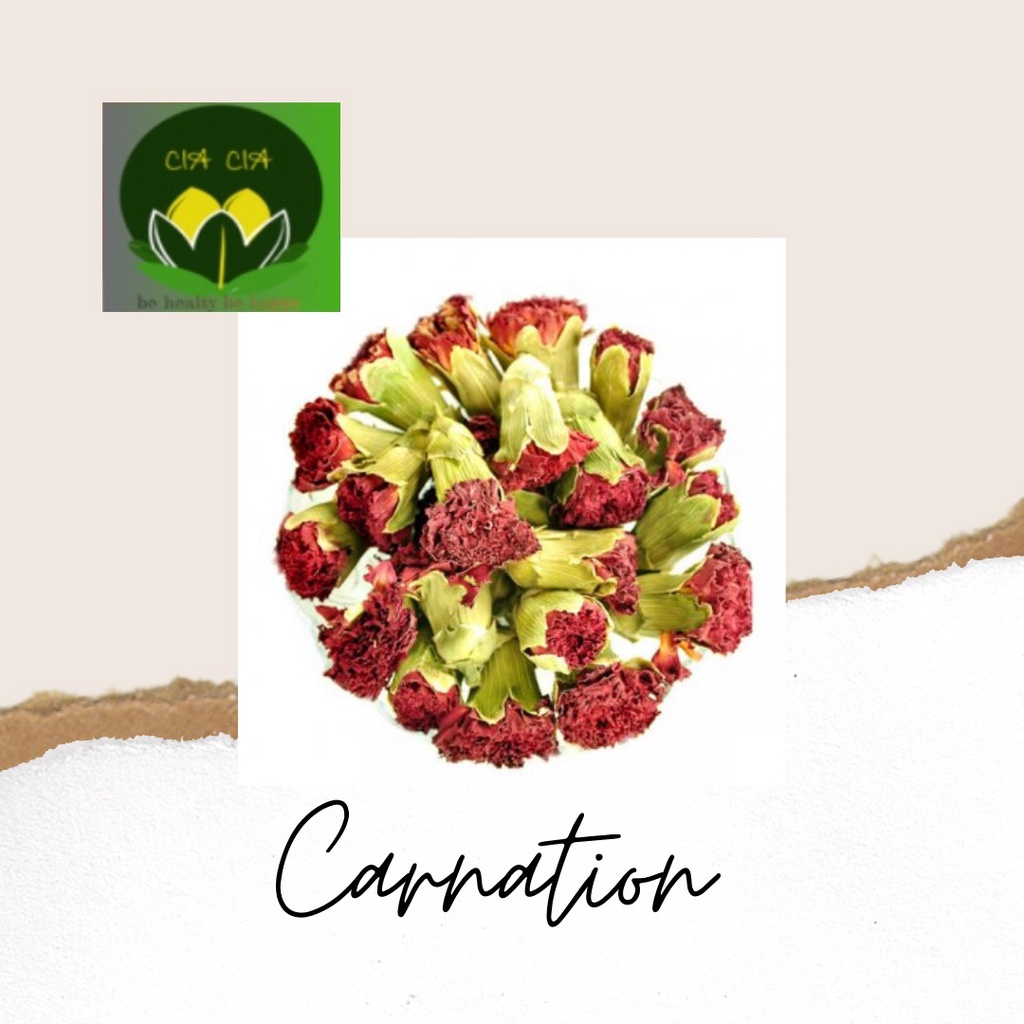 Jual Natural Organik Red carnation Flower Tea / Teh bunga carnation ...