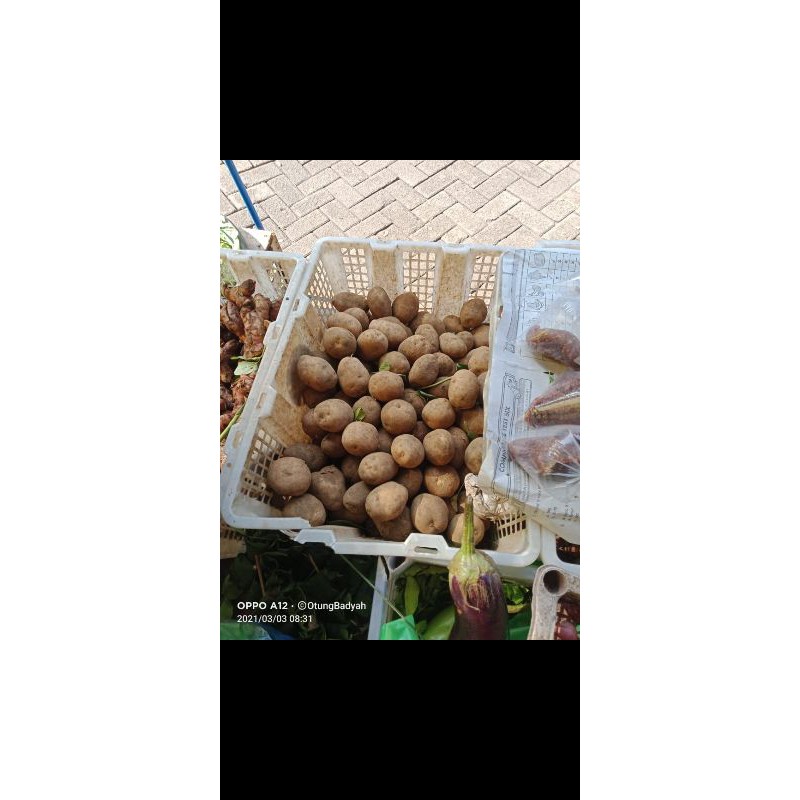 Jual Kentang Besar dan Kecil Harga Per 500gram | Shopee Indonesia