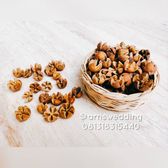 Jual Biji Puspo | Biji Rotan | Biji Pinus | Biji Rustic | Biji Bijian ...