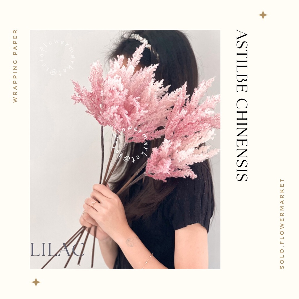 Jual ASTILBE CHINENSIS ARTIFICIAL Bunga Astilbe Tangkai Panjang ...