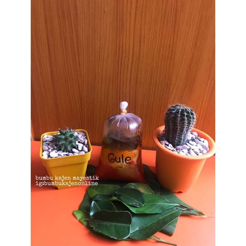 Jual Bumbu racik giling Gule | Shopee Indonesia