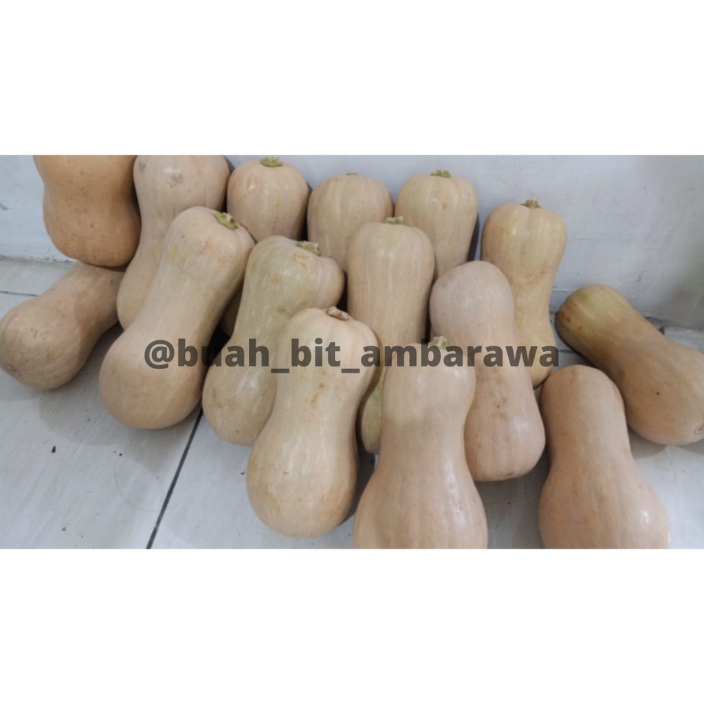Jual BUTTERNUT PANAH MERAH LABU KUNING SEHAT SEGAR FRESH ukuran 700-999 ...
