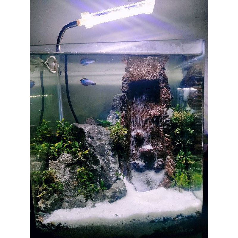 Jual jasa pembuatan aquascape 30 cm bending waterfall | Shopee Indonesia