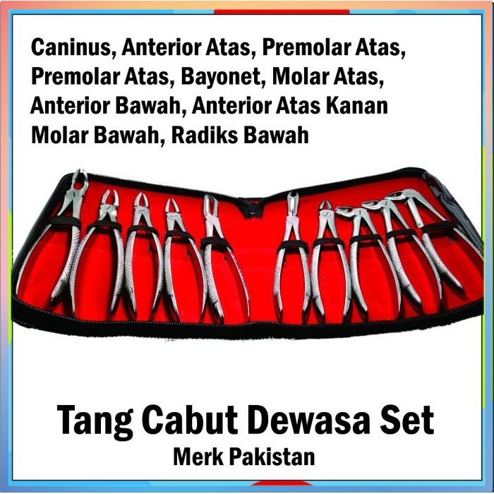 Jual Tang Cabut Gigi Pedo Dewasa Isi 10 Stainless Steel Pakistan ...