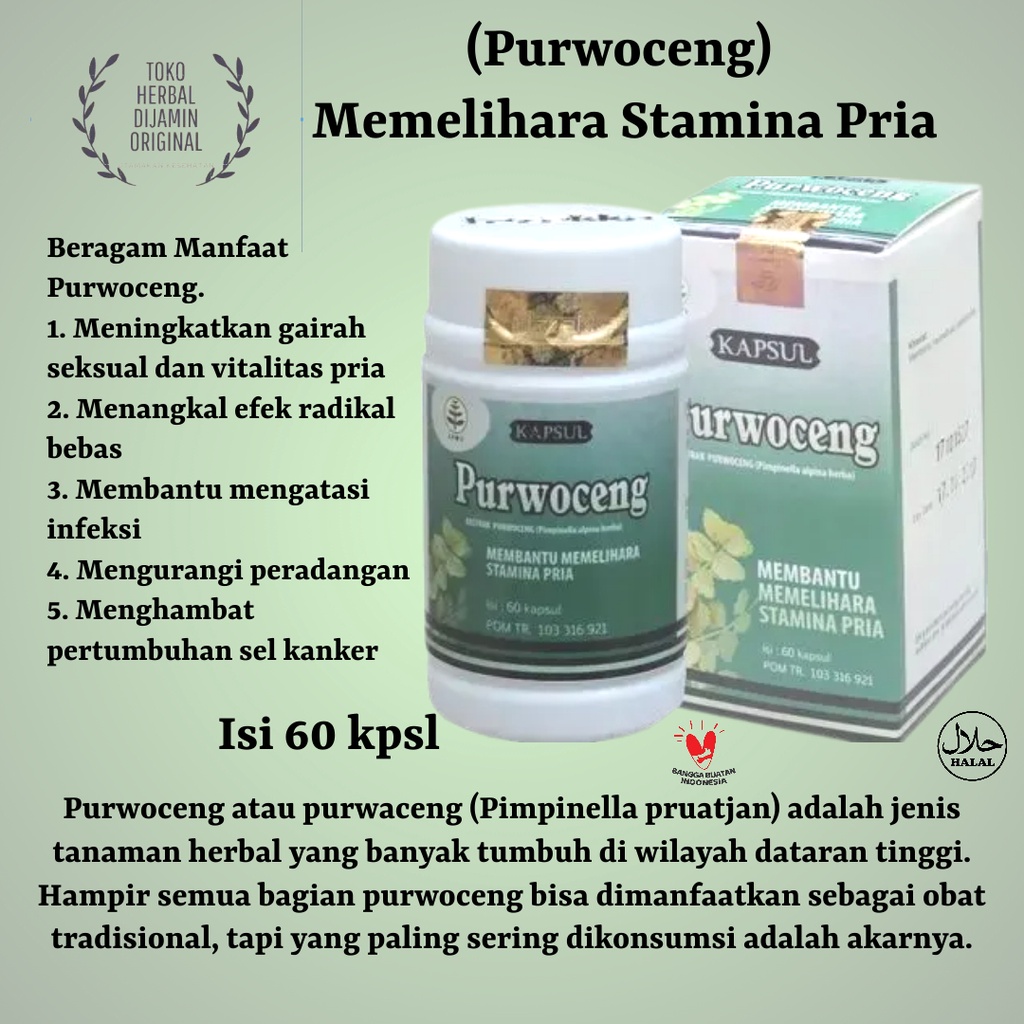 Jual Kapsul Purwoceng | Ekstrak Purwoceng | Membantu Memelihara ...