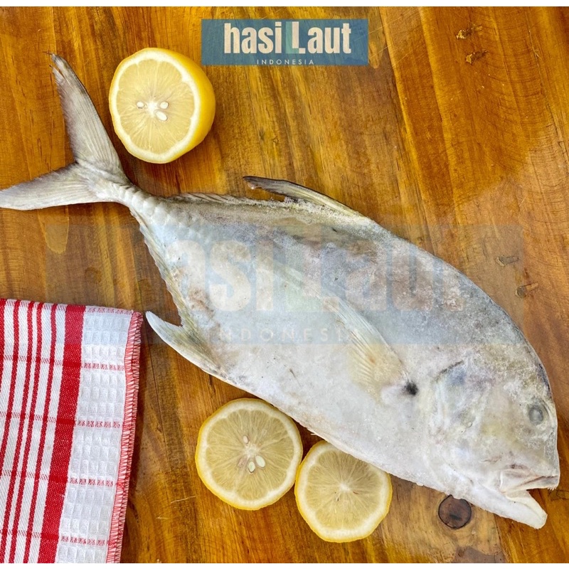 Jual Ikan Kuwe Beku PREMIUM / Ikan Kuwe 500gr | Shopee Indonesia