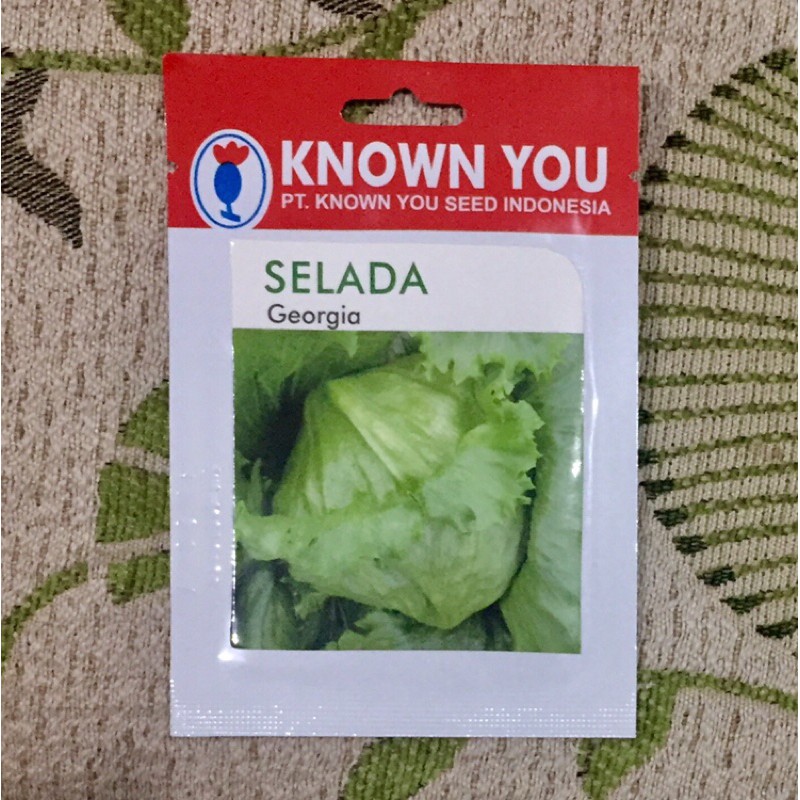 Jual Benih Selada Head Lettuce GEORGIA Iceberg Known You Seed kemasan ...