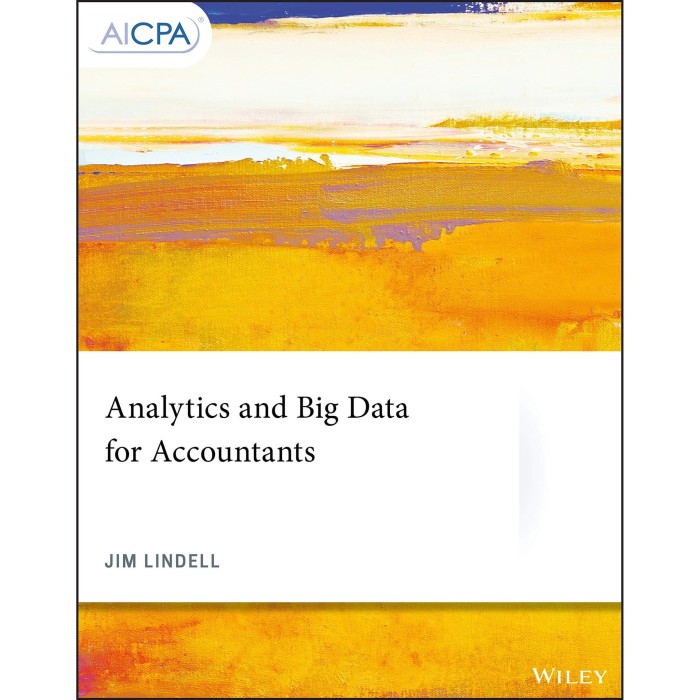 Jual Buku Analytics and Big Data for Accountants by Jim Lindell (BUKU ...