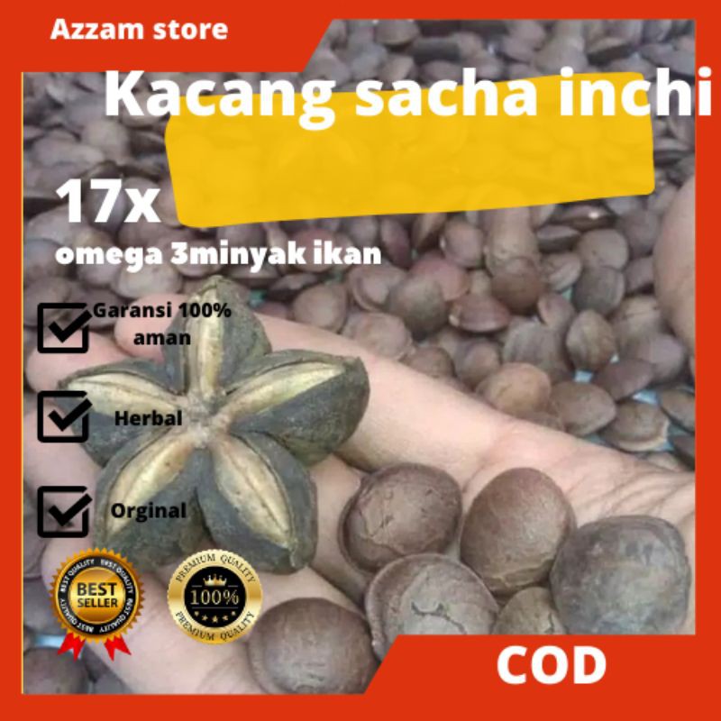 Jual kacang sacha inchi 1kg omega 3,6,9 suplemen tubuh ibu hamil dan ...