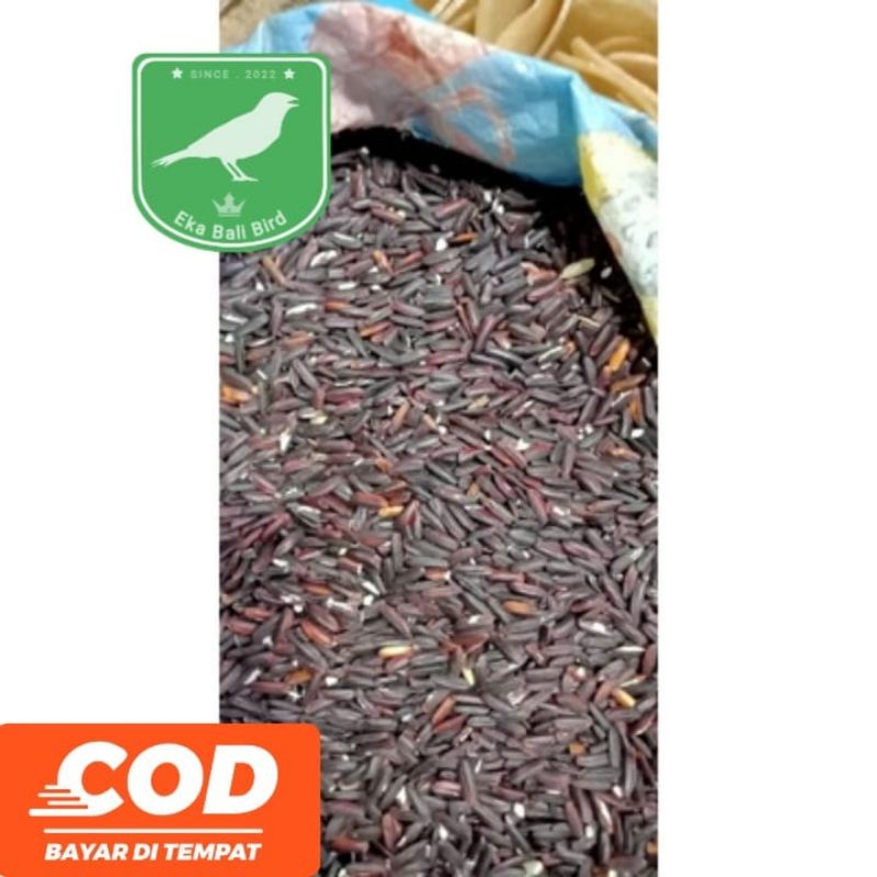 Jual Injin bali beras ketan hitam premium 1kg pakan burung | Shopee ...