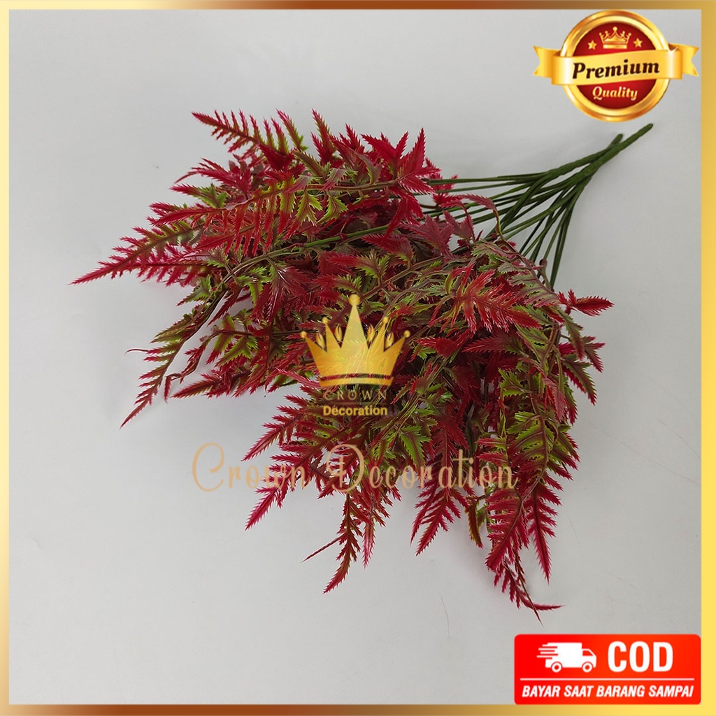 Jual Daun Rumput ACC Star Polos cabang 7 Pakis Palem Tanaman Hias ...