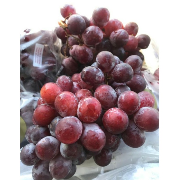 Jual Anggur red globe peru jumbo | 1 kg | Shopee Indonesia