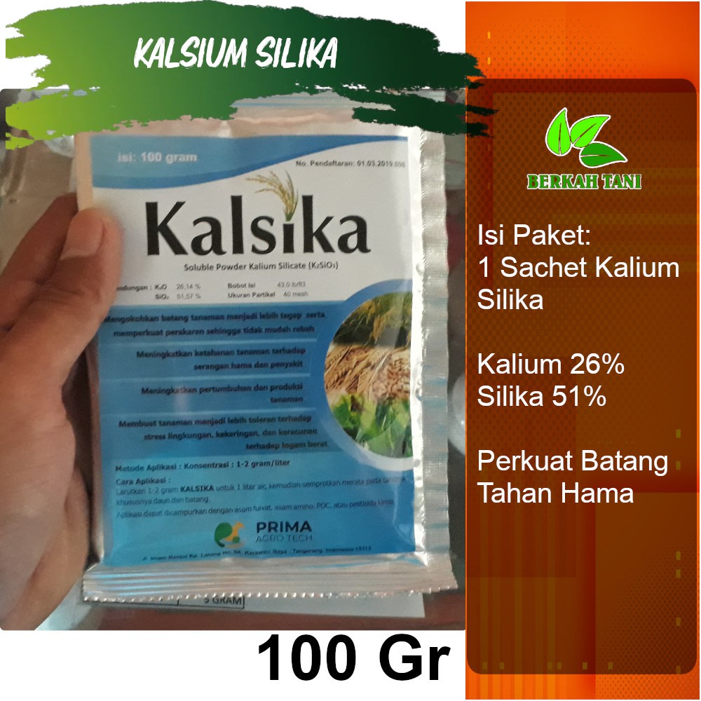 Jual Kalsika 100 Gram Kalsium Silika Penguat Batang | Shopee Indonesia