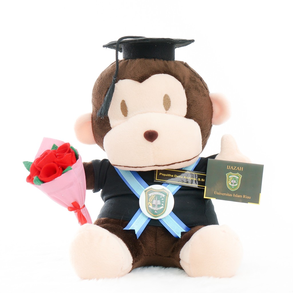 Jual Boneka Wisuda Monyet Baby Milo M dengan Buket Bunga & Ijazah ...
