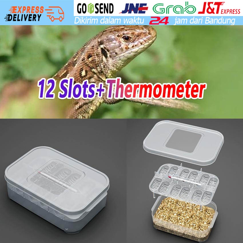 Jual Inkubator Telur Reptile Incubator Egg Gecko Kadal Reptil Egg ...