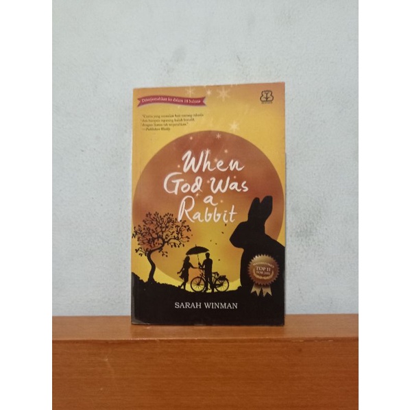 Jual WHEN GOD WAS A RABBIT - SARAH WINMAN | Shopee Indonesia
