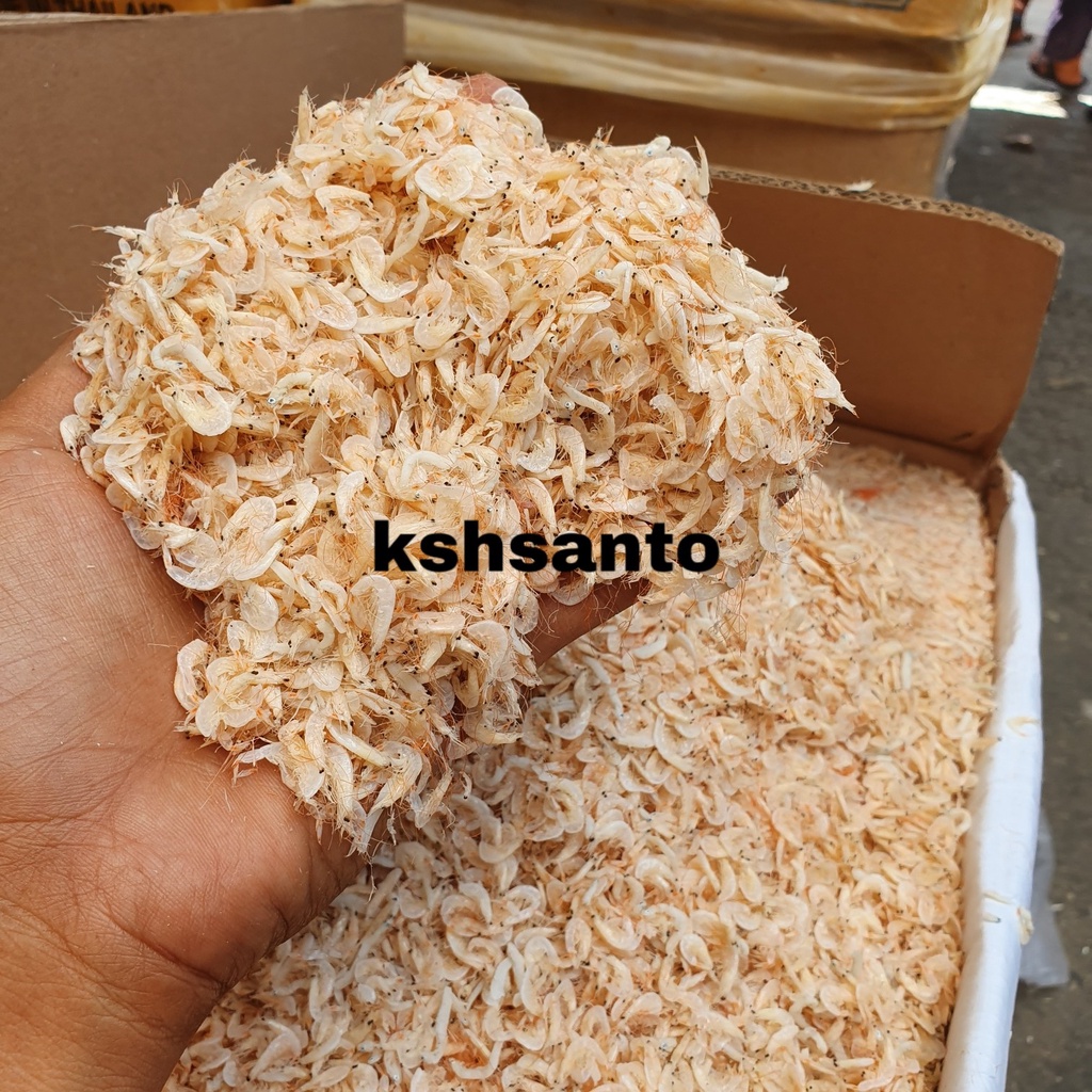 Jual ikan asin rebon kasar super-500g | Shopee Indonesia
