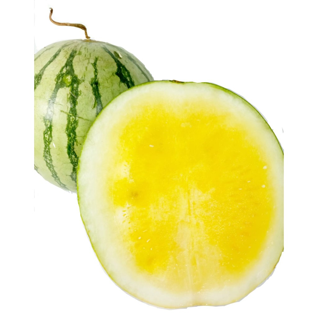 Jual SEMANGKA KUNING 1 buah +/- 5 Kg (3052) | Shopee Indonesia