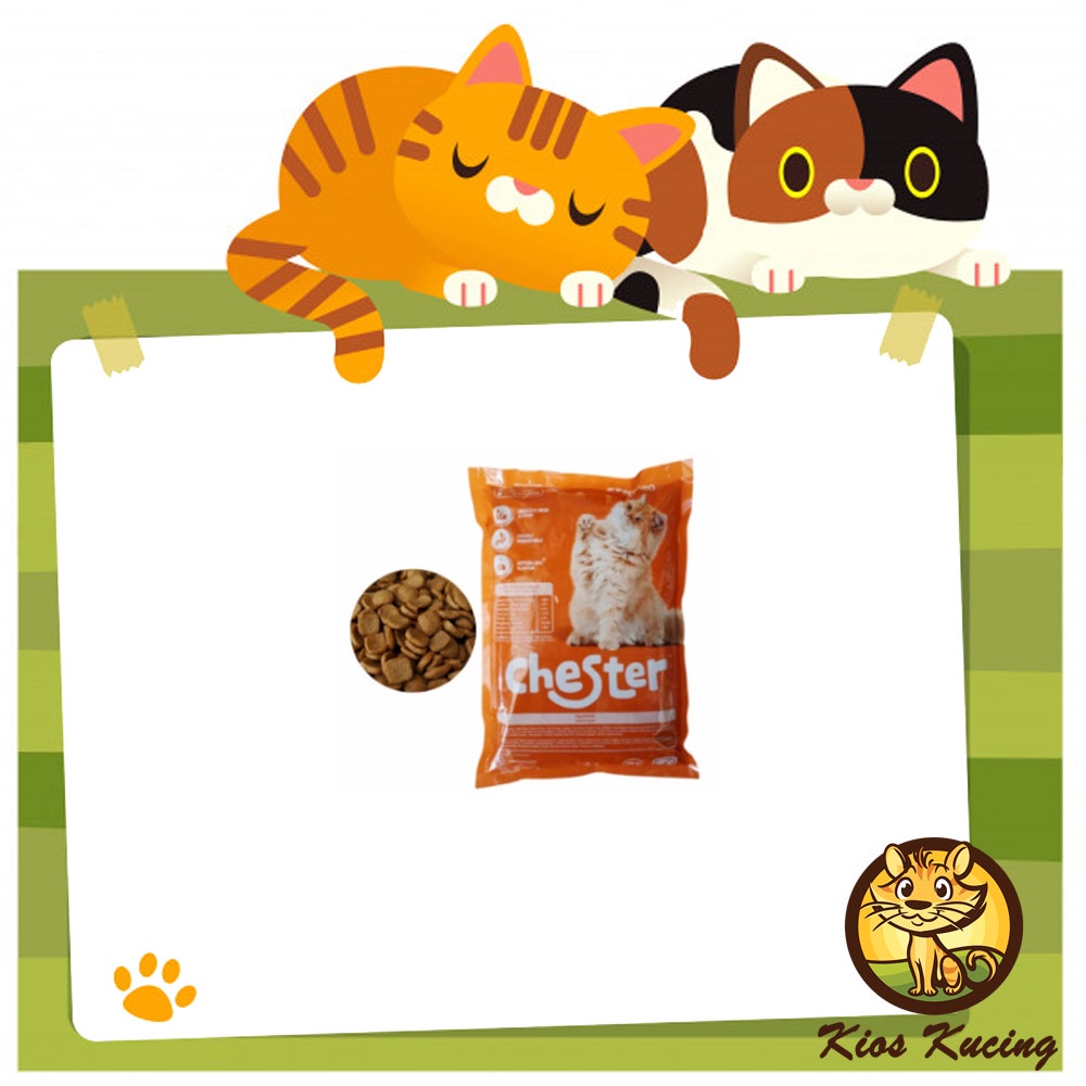 Jual Makanan Kucing Premium Chester Tuna Flavour 1kg | Shopee Indonesia