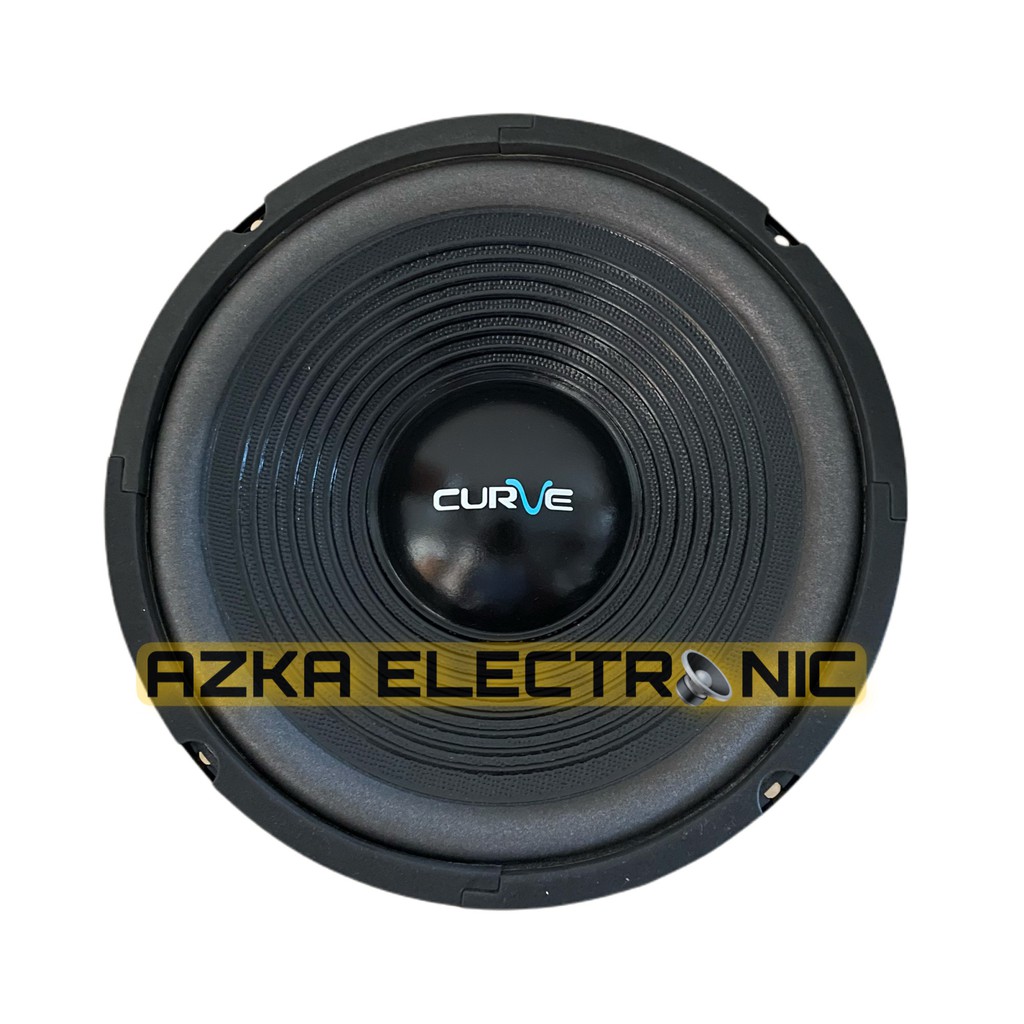 Jual Speaker Curve 10 Inch Woofer 300W | Shopee Indonesia