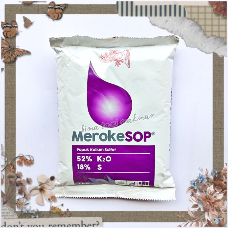 Jual PUPUK MEROKE SOP K2SO4 1KG PUPUK PEMBUAAN TANAMAN | Shopee Indonesia