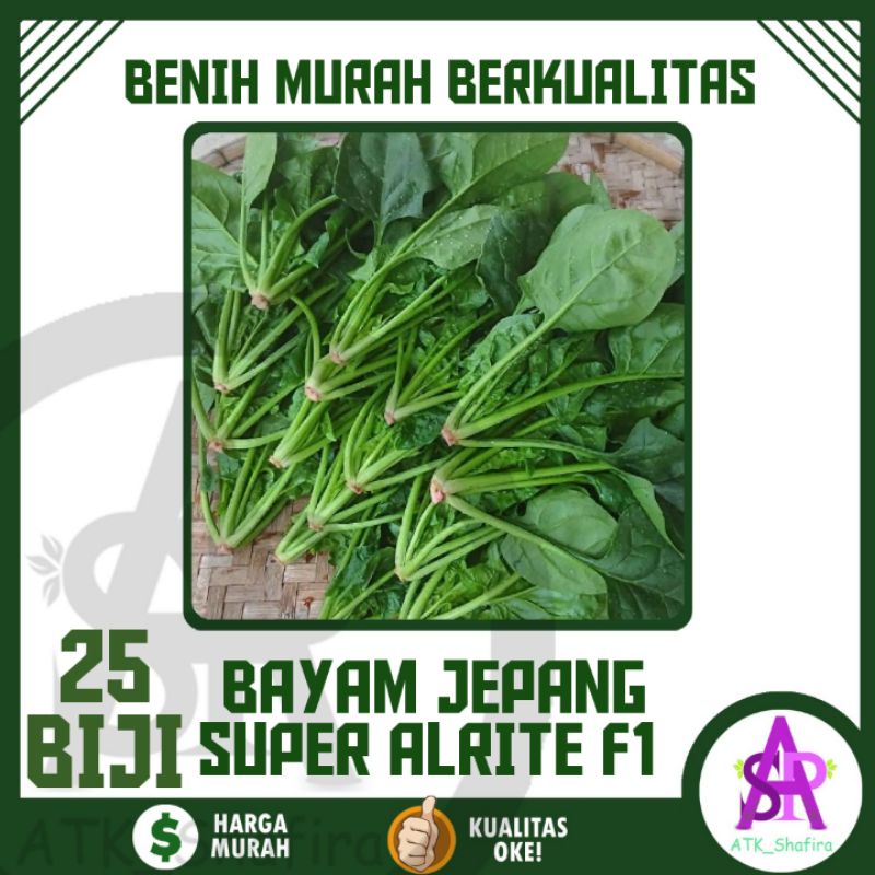Jual TRIFARM 25 Biji Benih Bayam Jepang Super Alrite F1 Kemasan Ziplock | Shopee Indonesia