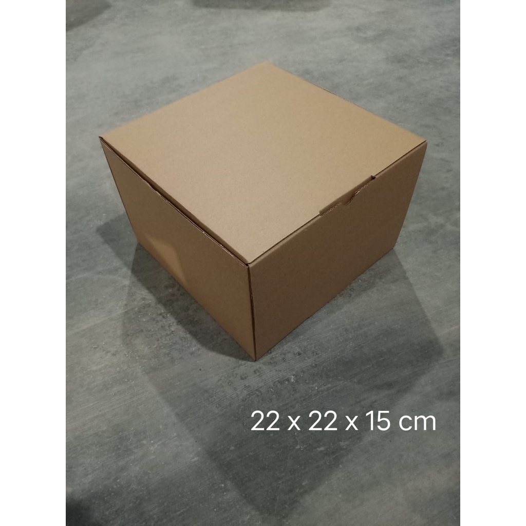 Jual (10 pcs) Kardus 22X22X15 cm --box Die Cut dan easy usage ...