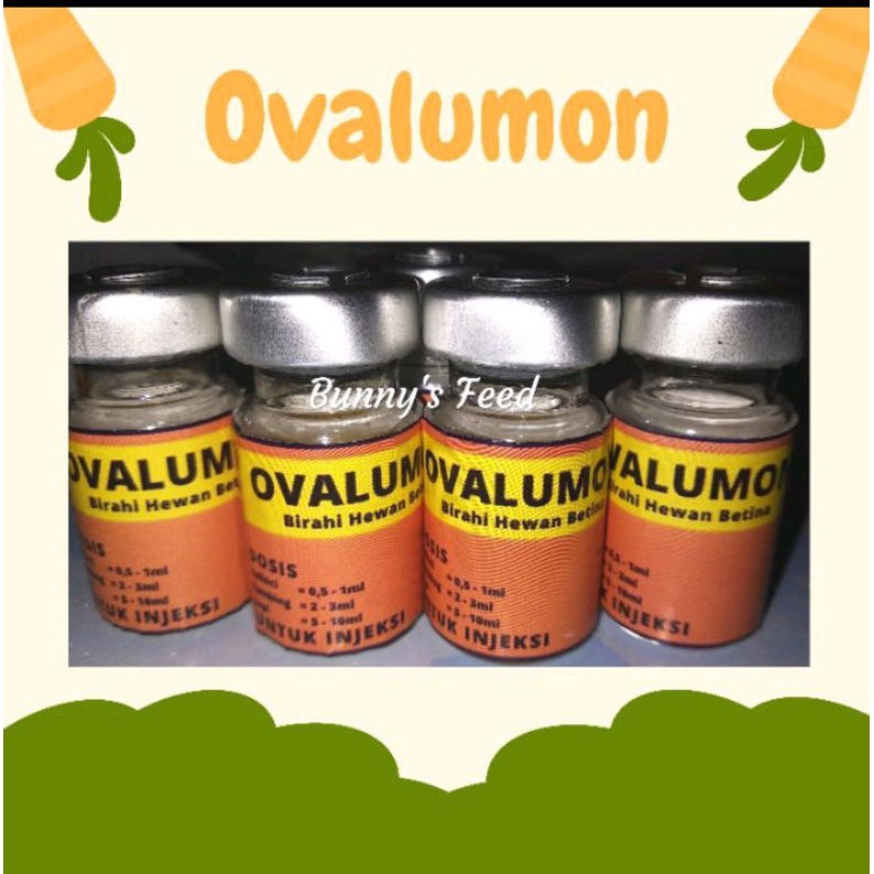 Jual Ovalumon 5 ml - Obat Birahi Hewan Betina Kelinci Kucing Kambing ...