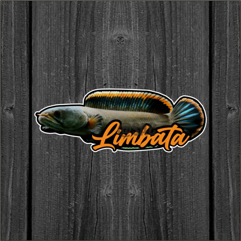 Jual Stiker ikan | Channa Limbata | Shopee Indonesia