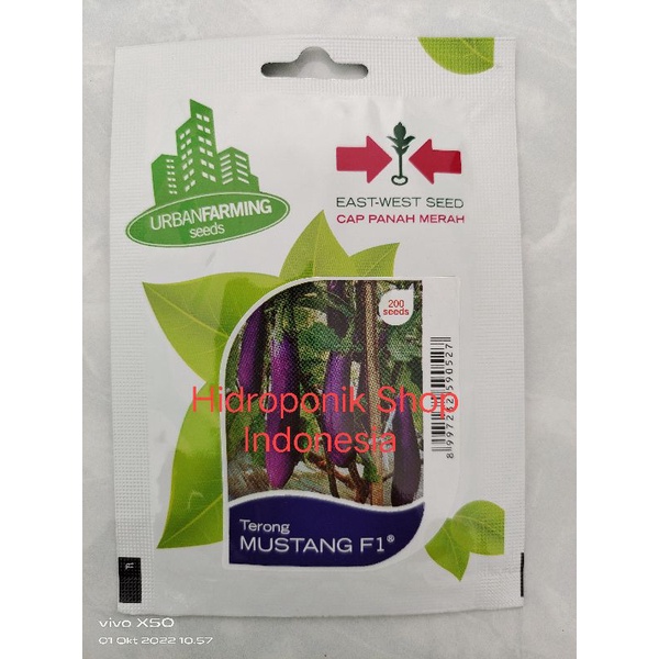 Jual Benih Terong Panjang Ungu Mustang F1 Cap Panah Merah East West Seed 200 Seed | Shopee Indonesia