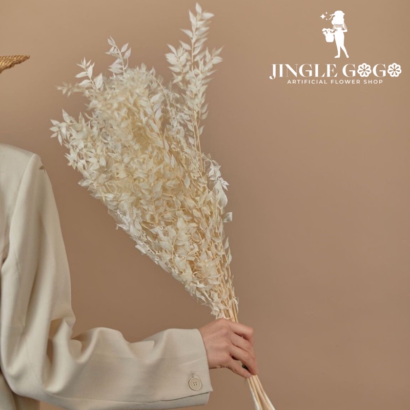 Jual Ecer Dried Flower Daun Ruskus Kering Ruscus Eucalyptus Preserved ...