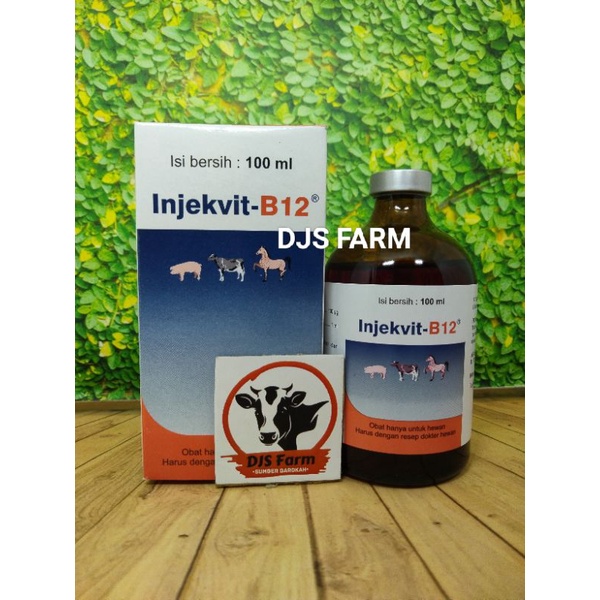 Jual Injekvit B12 vitamin b12 medion hewan ternak sapi kambing kuda ...