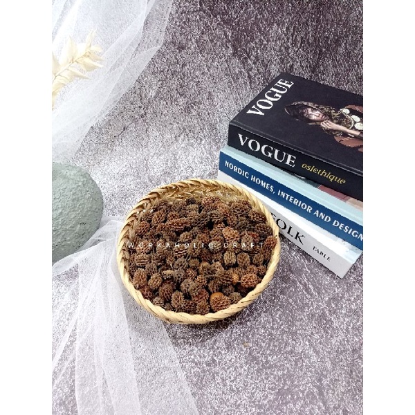 Jual Harga Biji Coklat 1 Kg Terlengkap & Harga Terbaru Juni 2026 ...
