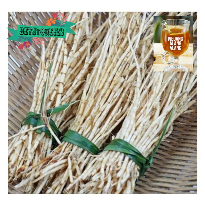 Jual Akar Alang Alang segar 300 Grm | Shopee Indonesia