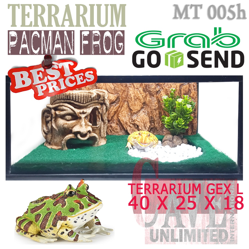 Jual MT005H FULL SET KANDANG AQUARIUM TERRARIUM PACMAN KATAK KODOK FROG ...