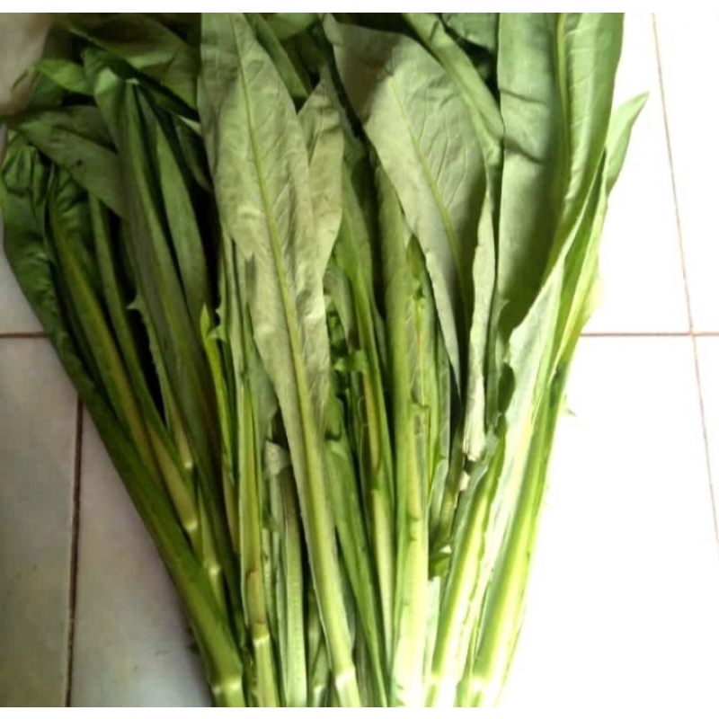 Jual Fumak berat 1kg. | Shopee Indonesia