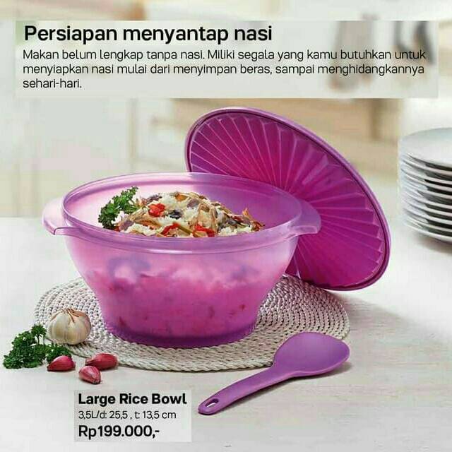 Jual Large Rice Bowl Tupperware, tempat nasi cantik dilengkapi tutup ...