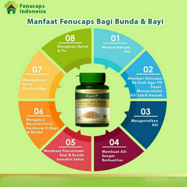 Jual Paket Dosis Harian Asi Booster FENUCAPS + LECICAPS (Ecer) | Shopee ...