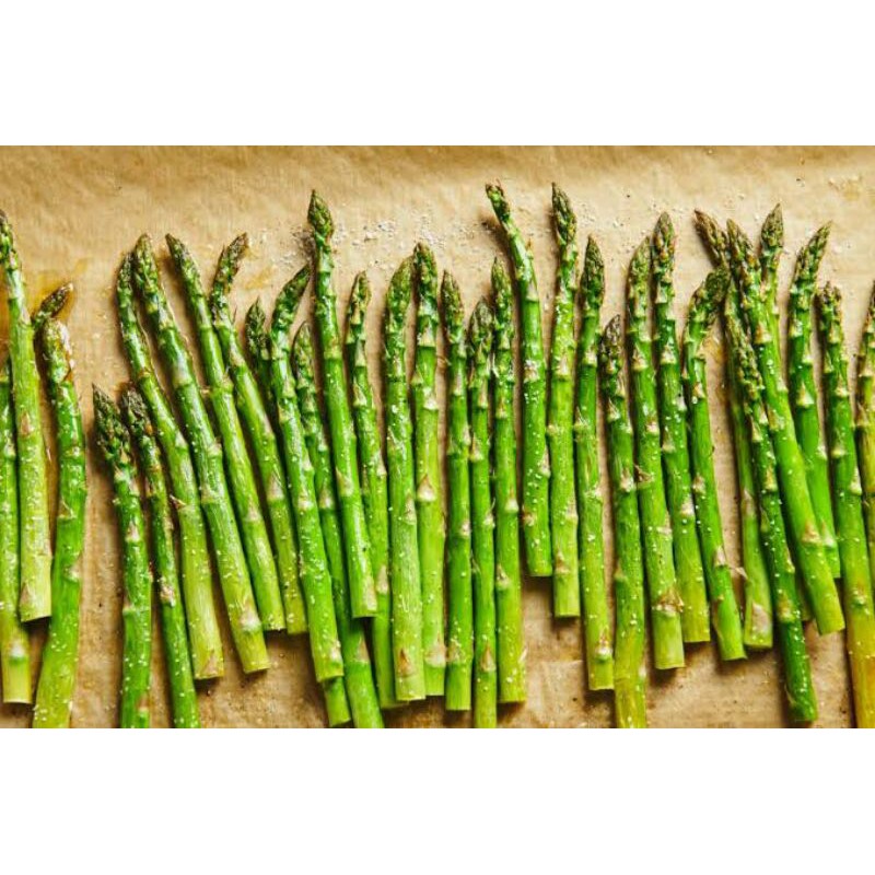 Jual -+10 Biji Benih Asparagus Mary Washington Anti Kanker - Benih ...