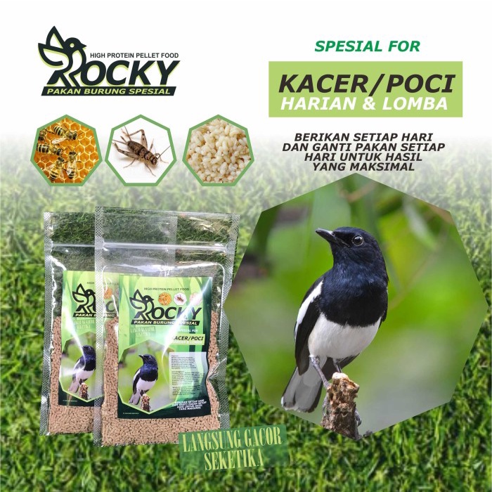 Jual MAKANAN BURUNG VOER ROCKY KACER POCI SMALL PELLET - KOEDAPAN BIRD ...