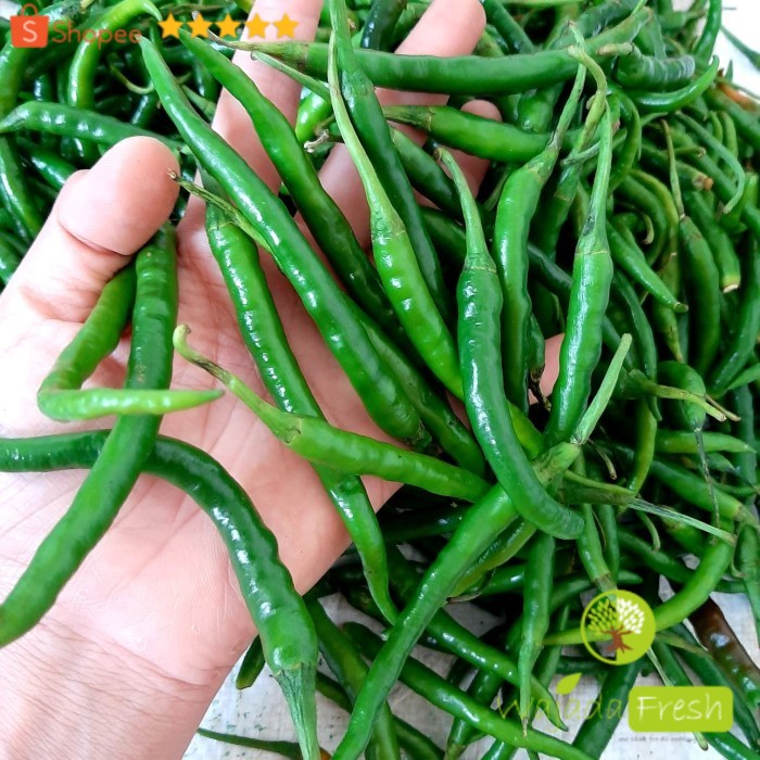 Jual Cabe Kriting Ijo Super ( 1 Kg ) | Shopee Indonesia