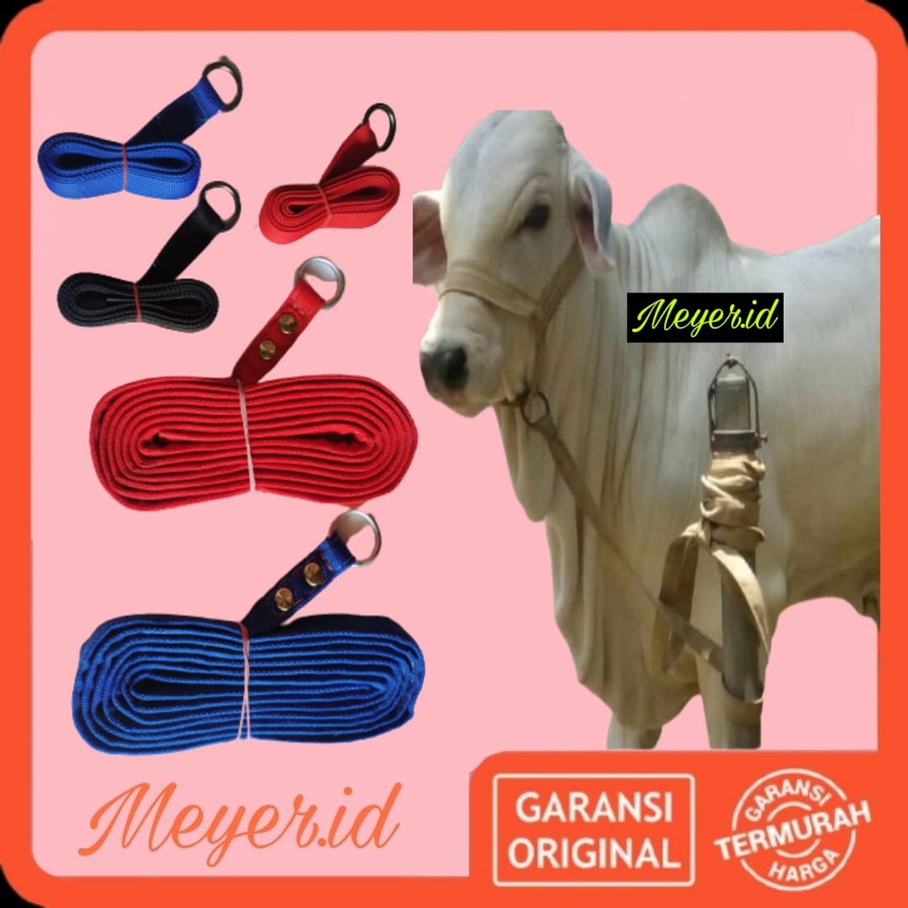 Jual [COD] TALI TUNTUNAN SAPI ,KERBAU , KUDA - Pasangan ikat kepala,Head halter sapi | Shopee ...
