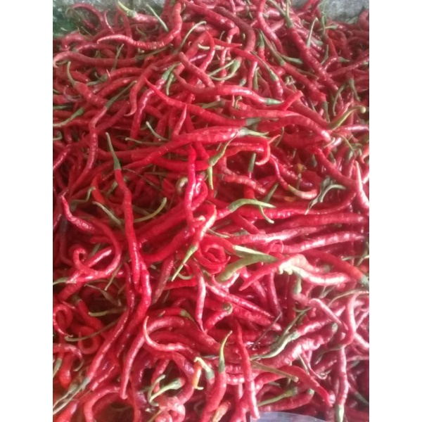 Jual CABE MERAH 100 gr | Shopee Indonesia