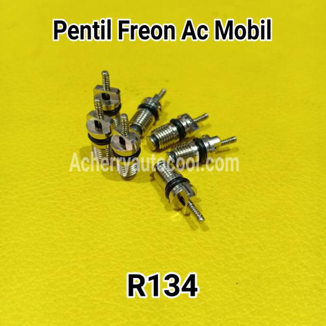 Jual Pentil Freon AC Mobil R134a | Shopee Indonesia