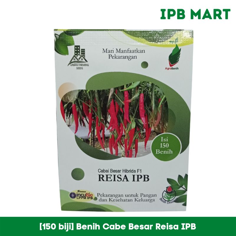Jual [150 biji] REISA IPB Benih Cabe Cabai Hibrida | Shopee Indonesia