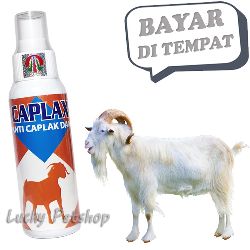 Jual OBAT ANTI KUTU CAPLAX KAMBING DOMBA | Shopee Indonesia