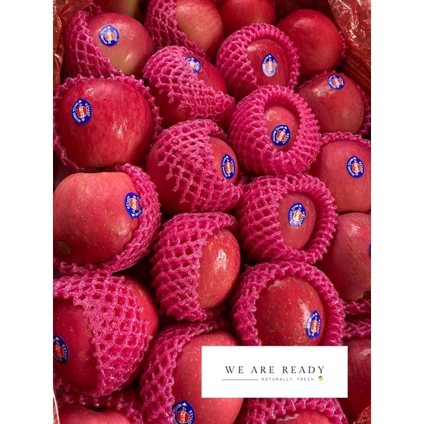 Jual Apel Fuji Super Premium Impor Fresh (600g/1000g) | Shopee Indonesia