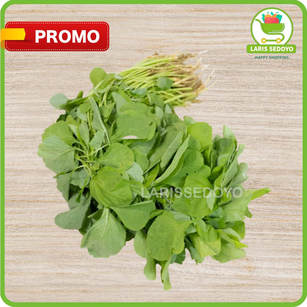 Jual Daun Bayam 1 Ikat Sayur Segar Sayuran Jakarta | Shopee Indonesia
