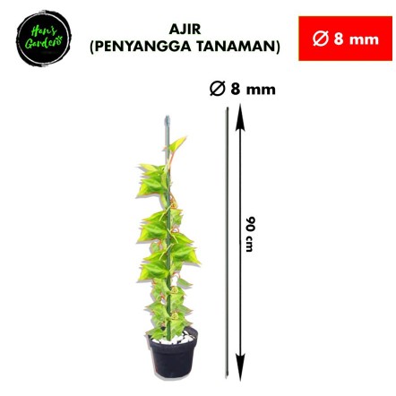 Jual Ajir tanaman merambat penyangga ajir lurus plant stake 11mm x 90 ...